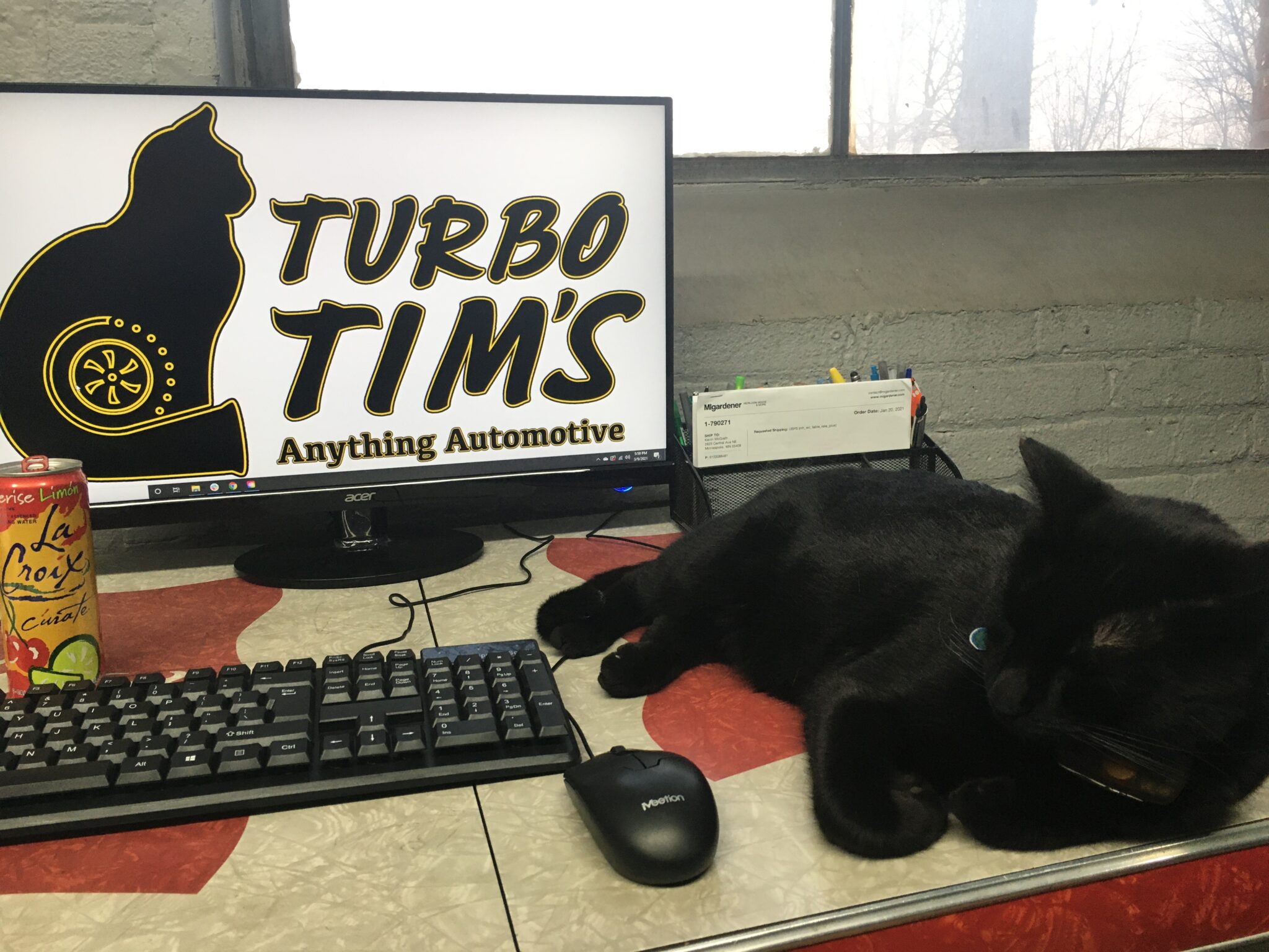 Our Cats - Turbo Tim's Anything Automotive - NE Minneapolis
